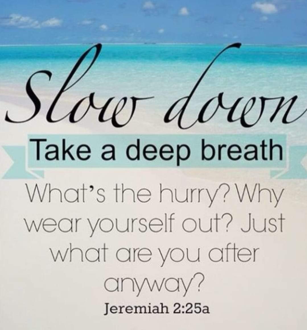 Give me a word, Lord: SLOW DOWN – Inspirations from the Funny Farm